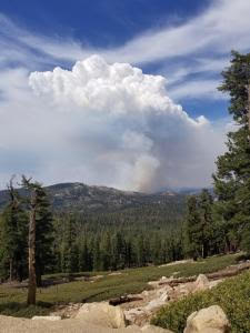 Schaeffer Fire at 61 percent containment - Sierra Wave: Eastern Sierra News