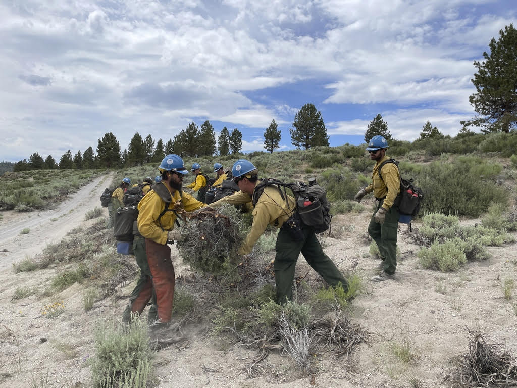 Inyo National Forest Update on Cowtract Fire - July 25, 2023 - Sierra ...