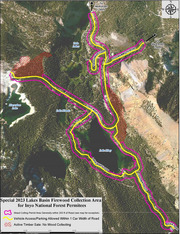 Inyo National Forest Fuelwood CollectionSseason Extended Until November ...